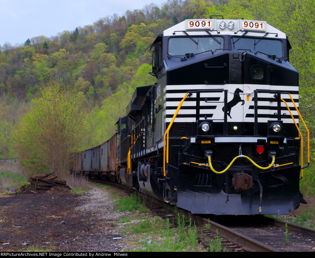 NS 9091 at Appalachia